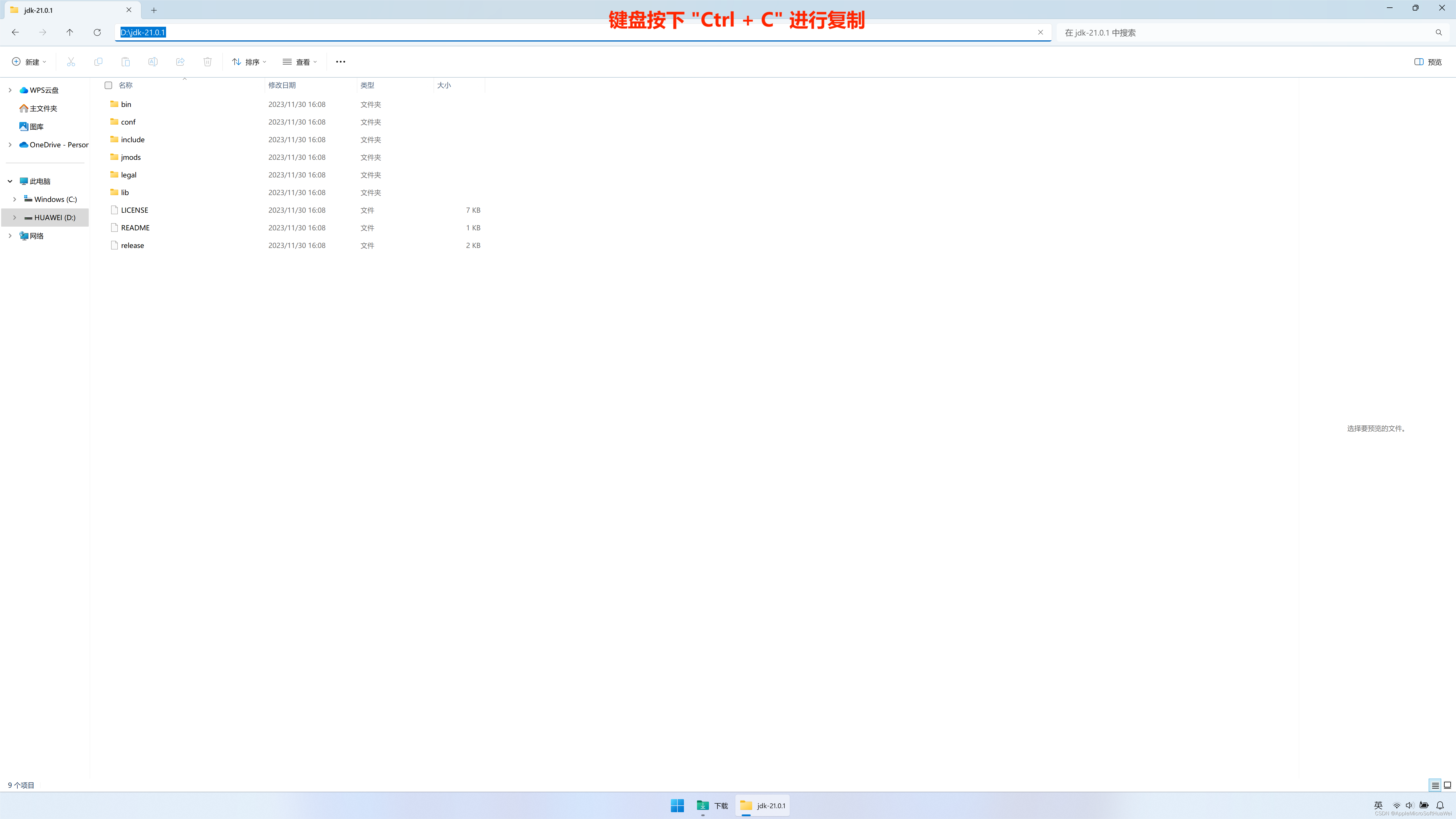 Java Development Kit (JDK21) 下载、解压、配置_jdk21 下载-CSDN博客