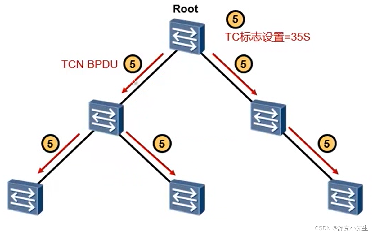 06 交换基础-STP原理_stp bpud-pro-CSDN博客