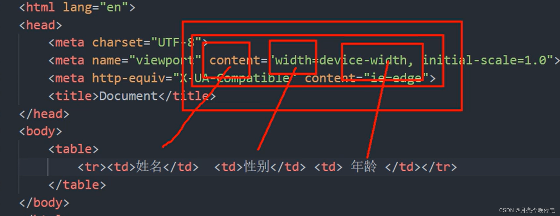 HTML学习Day2-CSDN博客