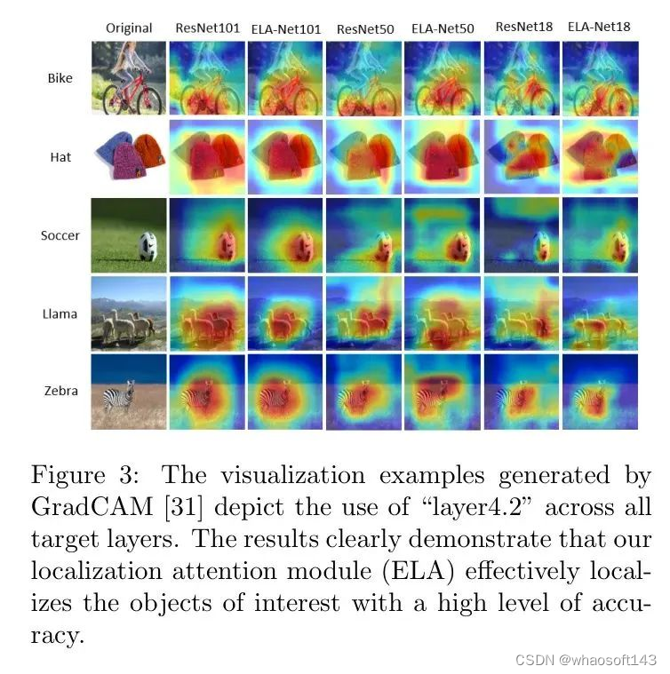 ELA~~_ela注意力机制-CSDN博客