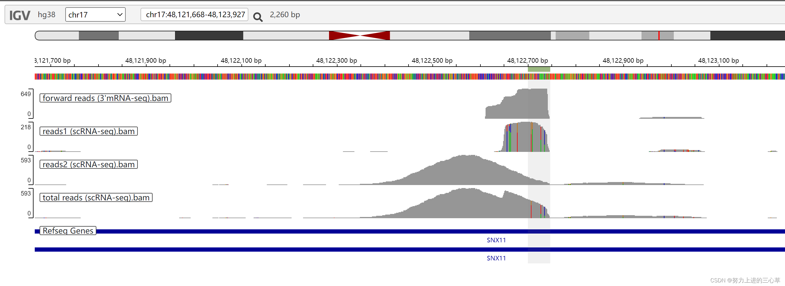 如何在文章中展示高清的IGV图片-CSDN博客