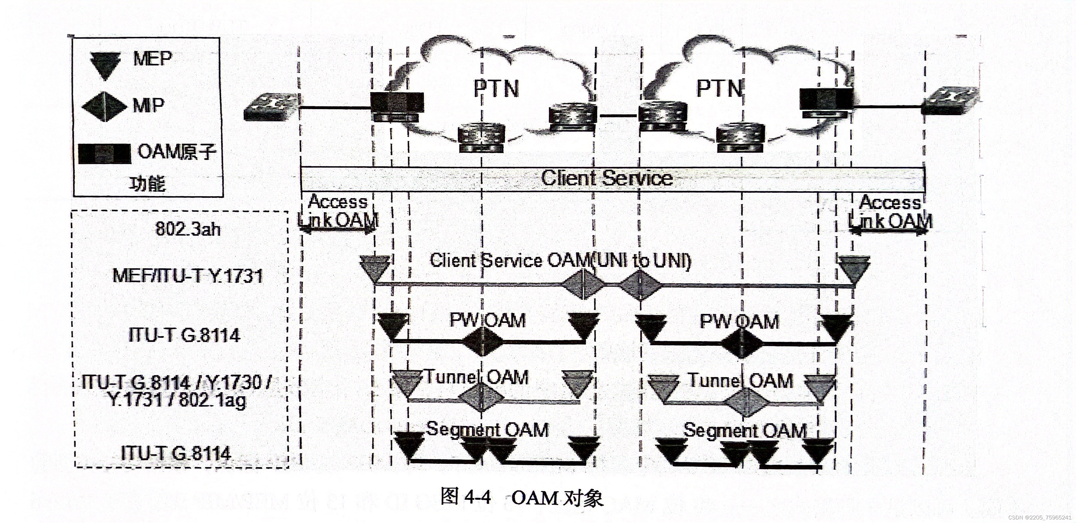 PTN技术原理-CSDN博客