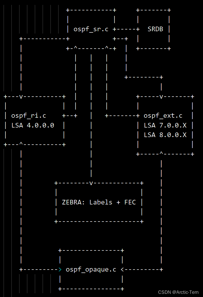 Frrouting学习笔记（五）——OSPF Segment Routing-CSDN博客