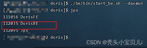 Doris集群部署-CSDN博客
