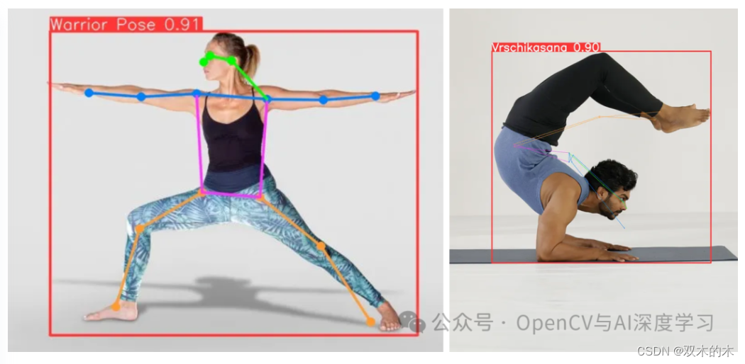 OpenCV与AI深度学习 | 实战 | 使用YOLOv8 Pose实现瑜伽姿势识别_yolo姿态识别-CSDN博客