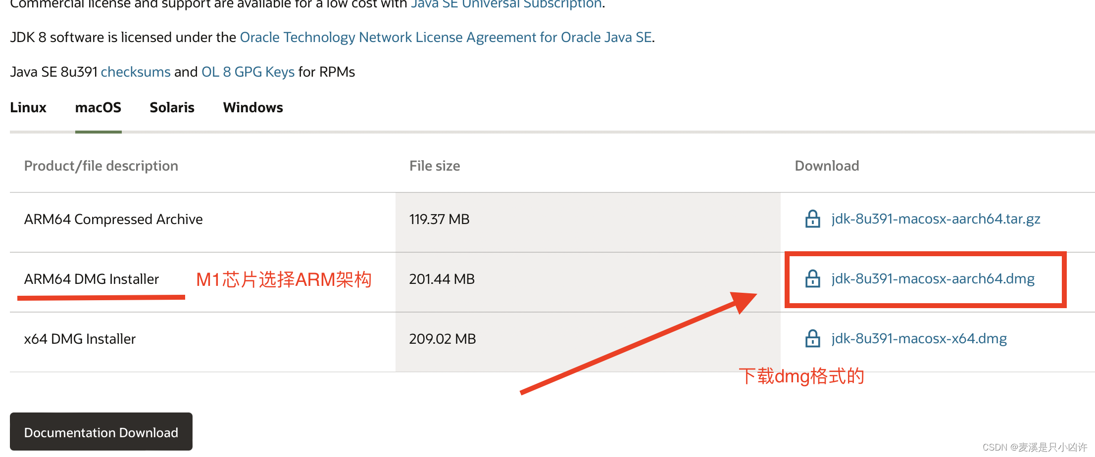 在M1芯片的macbook上搭载java开发环境（保姆级）_mac m1 jdk-CSDN博客