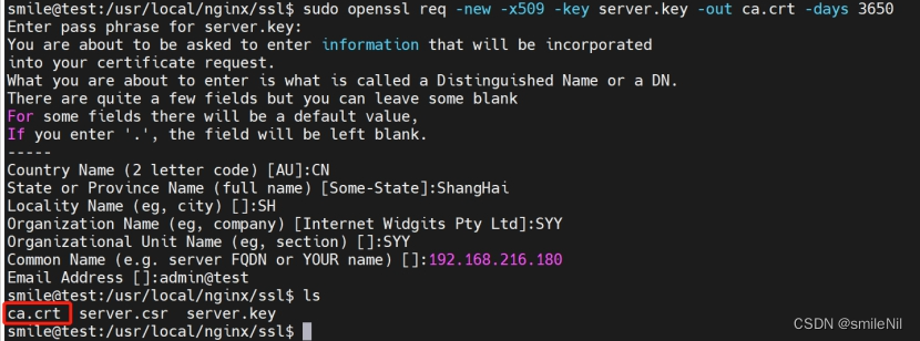 Ubuntu22.04下，nginx安装，配置https和反向代理_ubuntu 22.04 安装nginx-CSDN博客