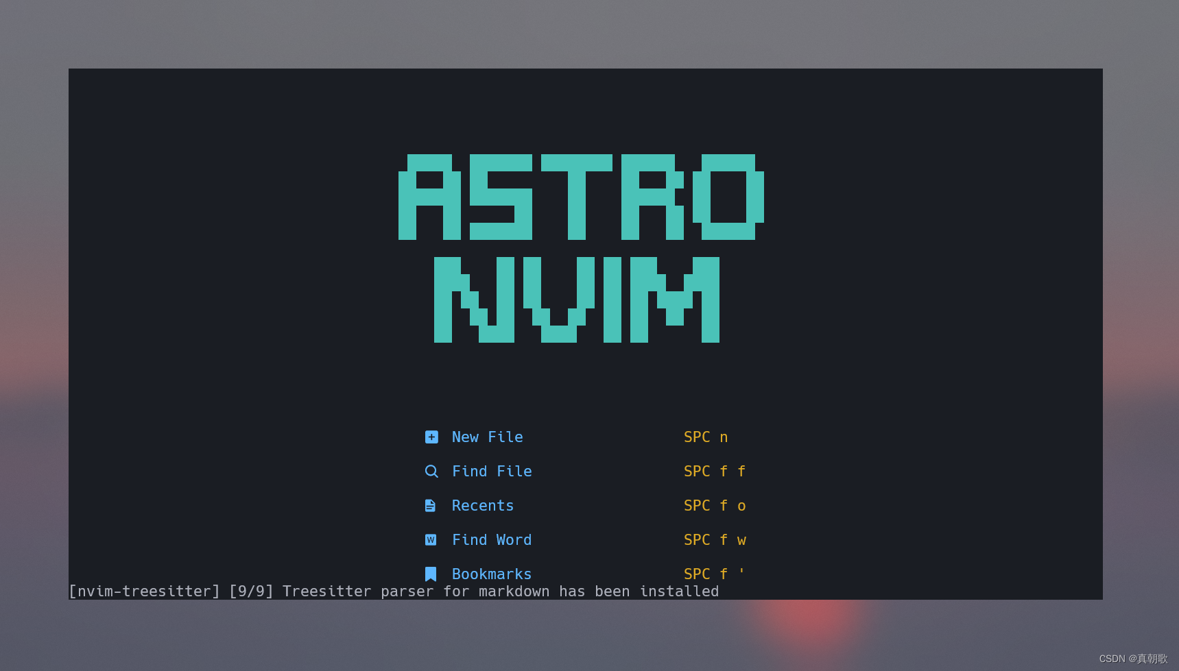 开发环境分享——AstroNvim（neovim的下载和Astronvim的配置）-CSDN博客