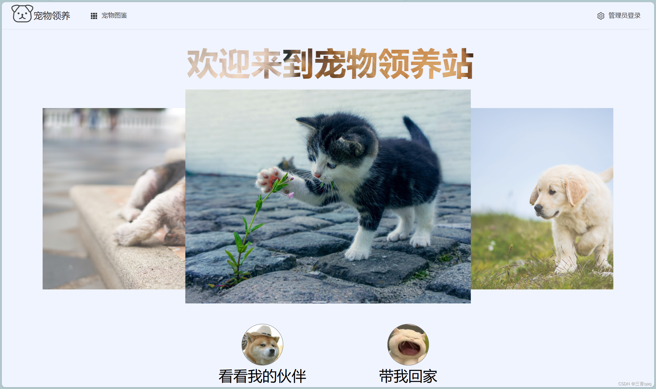 【web课程设计】一个简单的基于springbootvue3开发的宠物领养系统(含源代码) Csdn博客