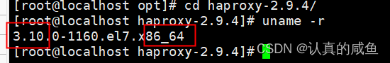 Linux安装haproxy完整教程_linux 安装haproxy-CSDN博客