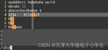 VIM奇技淫巧-VIM/GVIM中的正则匹配_vim 匹配-CSDN博客