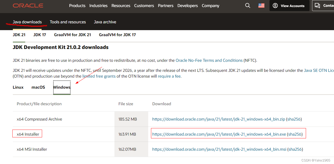 Java 00 开发环境配置_java.configuration.runtimes-CSDN博客