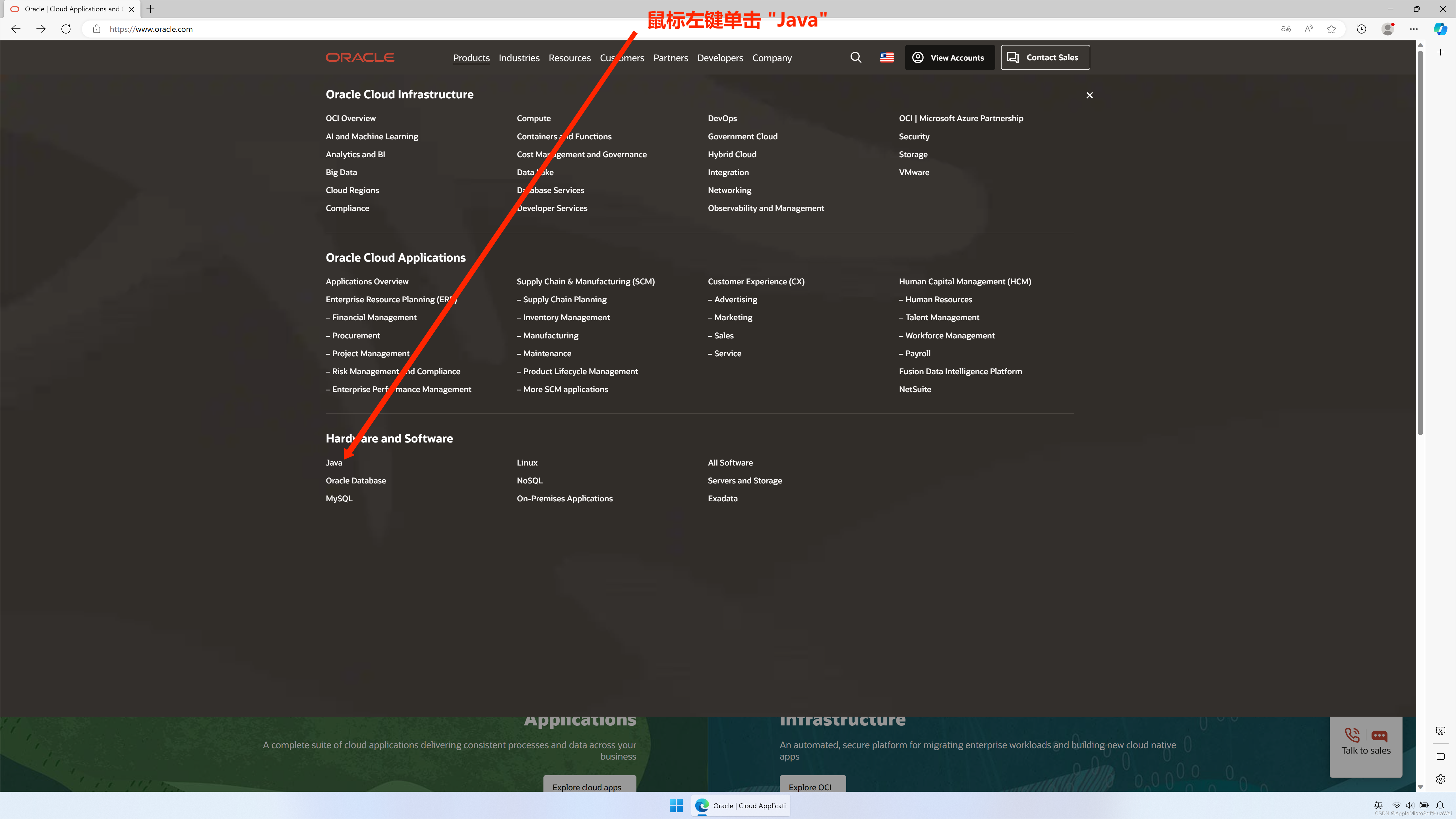 Java Development Kit (JDK21) 下载、解压、配置_jdk21 下载-CSDN博客