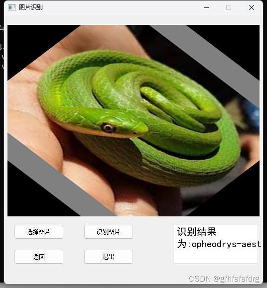 0077期通过cnn深度学习识别蛇类 含数据集 含数据集基于cnn 的蛇类识别、 Csdn博客 8669