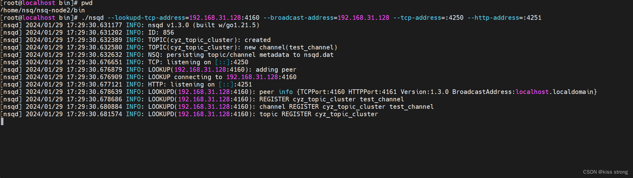java整合NSQ实时分布式消息平台_nsq java-CSDN博客