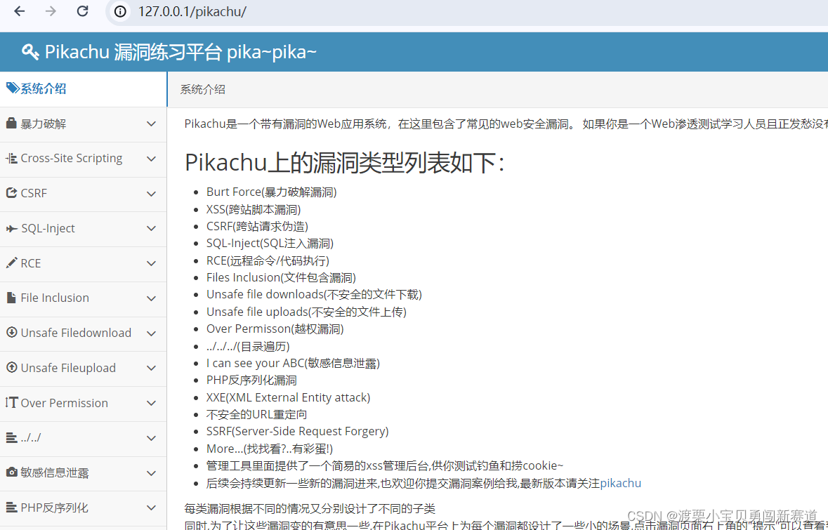 PHP、Apache环境中部署pikachu（渡栗的学习笔记）_php搭建pikachu-CSDN博客