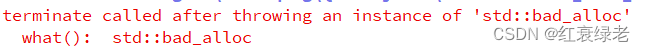 报错解决：terminate Called After Throwing An Instance Of ‘std Bad Alloc‘ What Std Bad Alloc Csdn博客