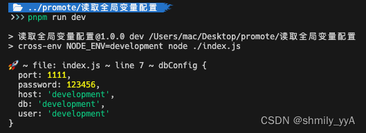 使用 dotenv 与 config 解析全局环境变量_dotenv.config-CSDN博客