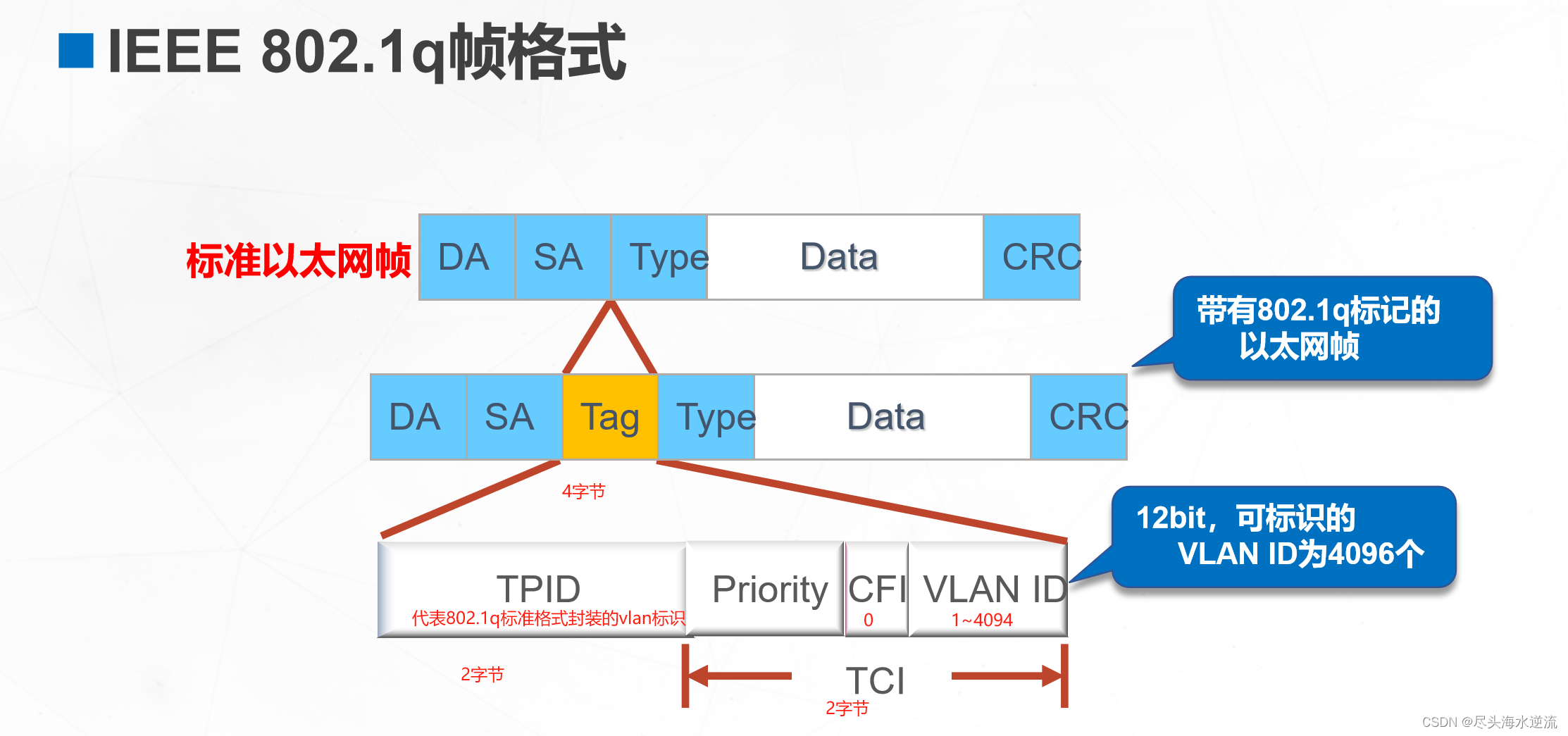 VLAN_划分vlan的优势-CSDN博客