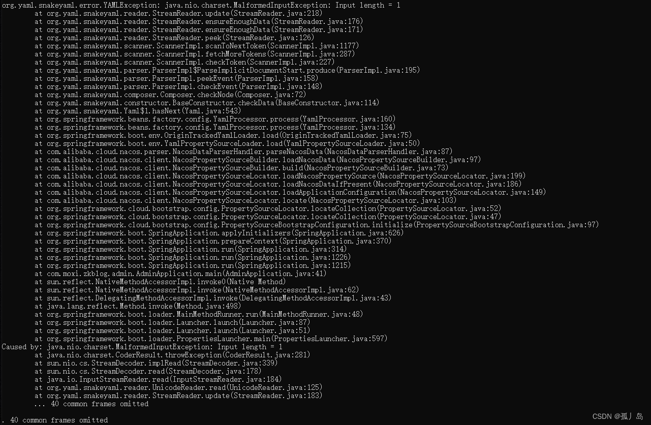 解决org.yaml.snakeyaml.error.YAMLException: java.nio.charset.MalformedInputException: Input length ...