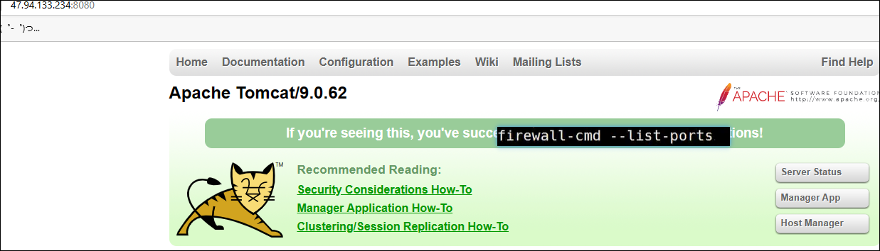 Linux篇——解压缩安装Tomcat以及发布，手把手教你玩转它！_tomcat压缩包怎么解压安装-CSDN博客