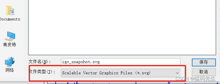 IGV图片如何保存为矢量图_igv导出图-CSDN博客