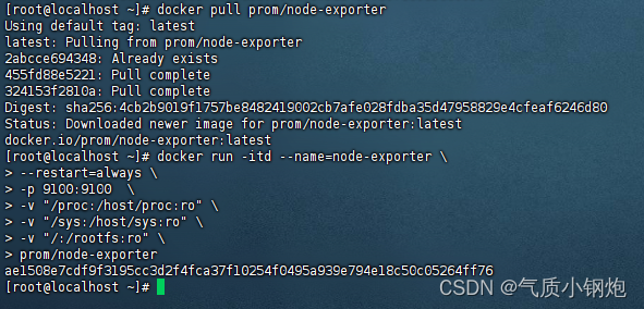 CentOS7安装Prometheus+node-exporter+grafana容器（保姆级图文版）_centos7 node-exporter-CSDN博客