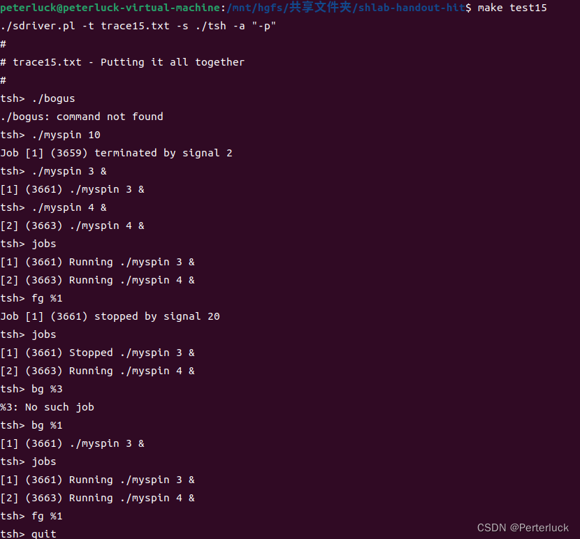 一文读懂CSAPP shell 微壳实验_csapp tinyshell-CSDN博客