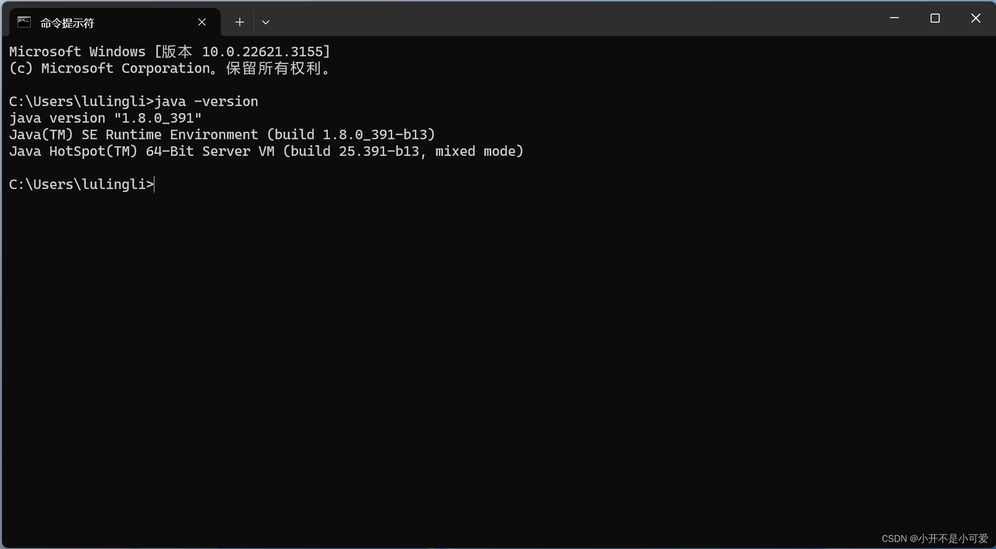 win11安装Java环境详细教程_win11 java环境配置-CSDN博客