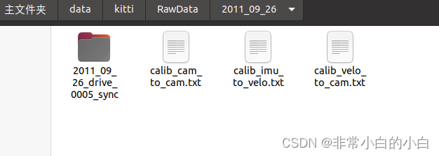 【小白】ROS跑kitti可视化（一）&kitti数据集转换成bag文件_kitti数据集可视化-CSDN博客