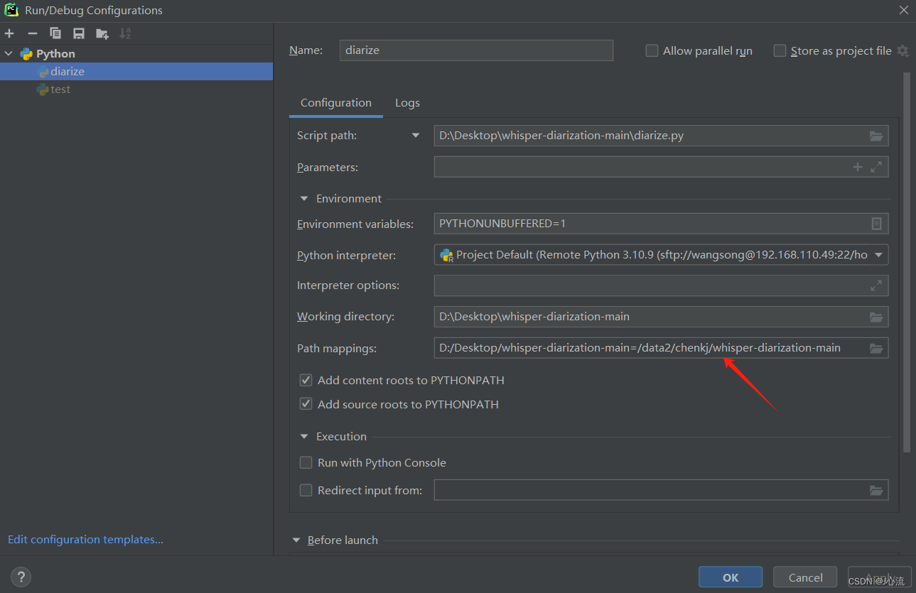 Couldn‘t apply path mapping to the remote file. /home/anaconda/envs/whisper/lib/python3.10 ...