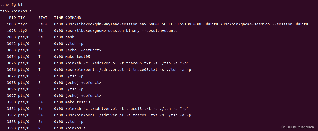 一文读懂CSAPP shell 微壳实验_csapp tinyshell-CSDN博客