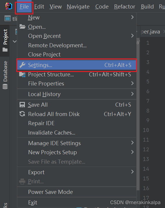 IDEA开发-application.properties文件再次打开乱码-CSDN博客
