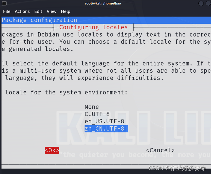 Kali下载安装配置大全（保姆级教学）_kali sudo-CSDN博客