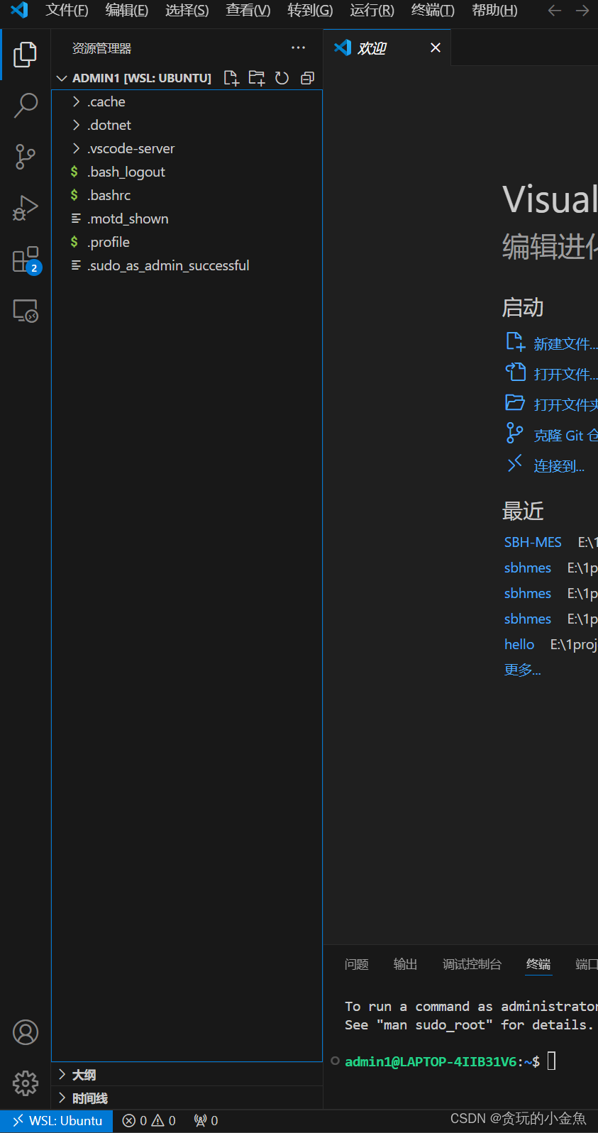 windows通过wsl运行linux系统_wsl启动linux-CSDN博客