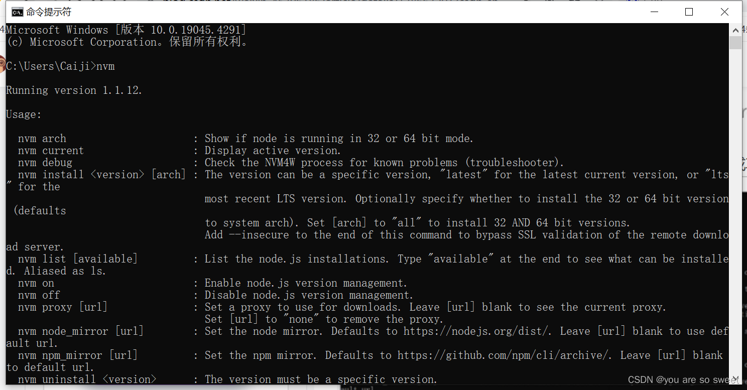 使用nvm管理node安装vue搭建vue可视化界面创建vue项目全流程_vue可视化创建项目-CSDN博客