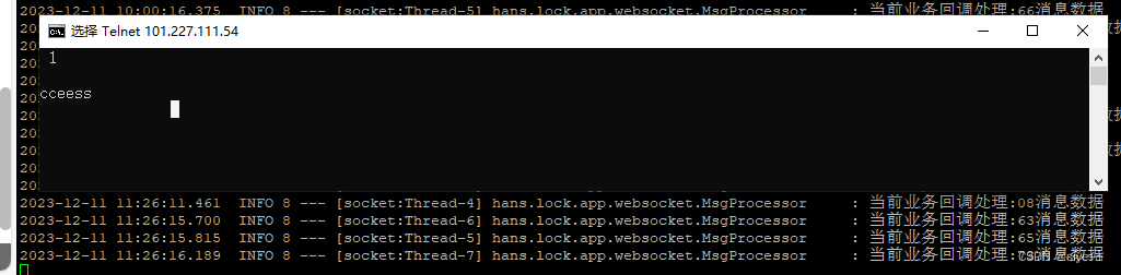 springboot 集成 smart-socket-CSDN博客