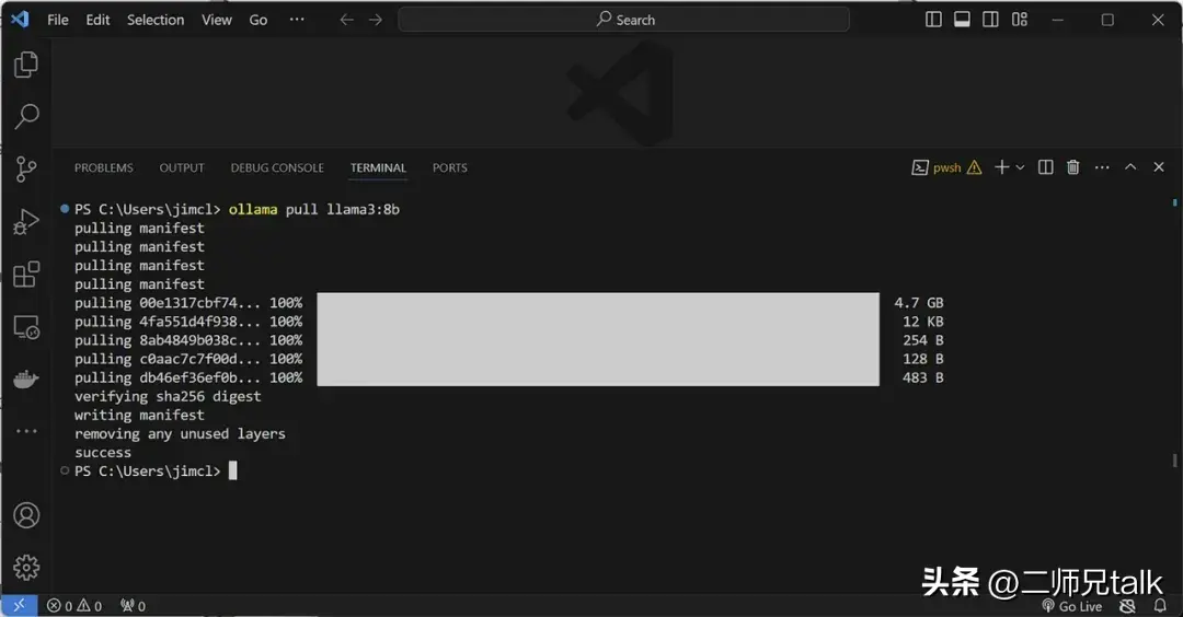 如何在Visual Studio Code中轻松运行Llama 3模型：完整指南_llama3.1 vscode-CSDN博客