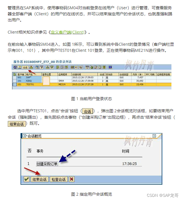 SAP-BASIS01-SM04在线用户管理_sap sm04-CSDN博客