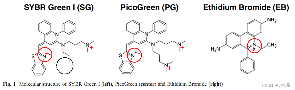 核酸染料小知识_核酸染料和指示剂的区别-CSDN博客