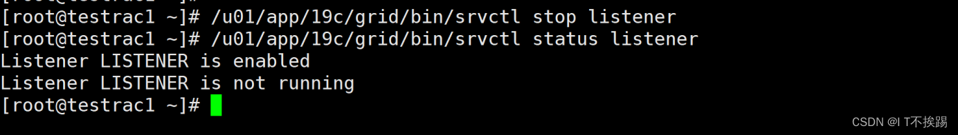 Oracle 19C RAC IPv6改造（IPv4+IPv6双栈配置）_oracle ipv6 访问-CSDN博客