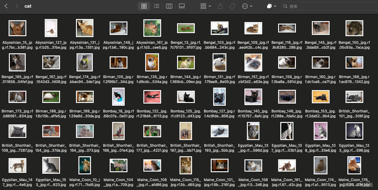 PyTorch+SwanLab+Gradio+猫狗分类：轻松从可视化训练到Demo网站_gradio和pytorch-CSDN博客