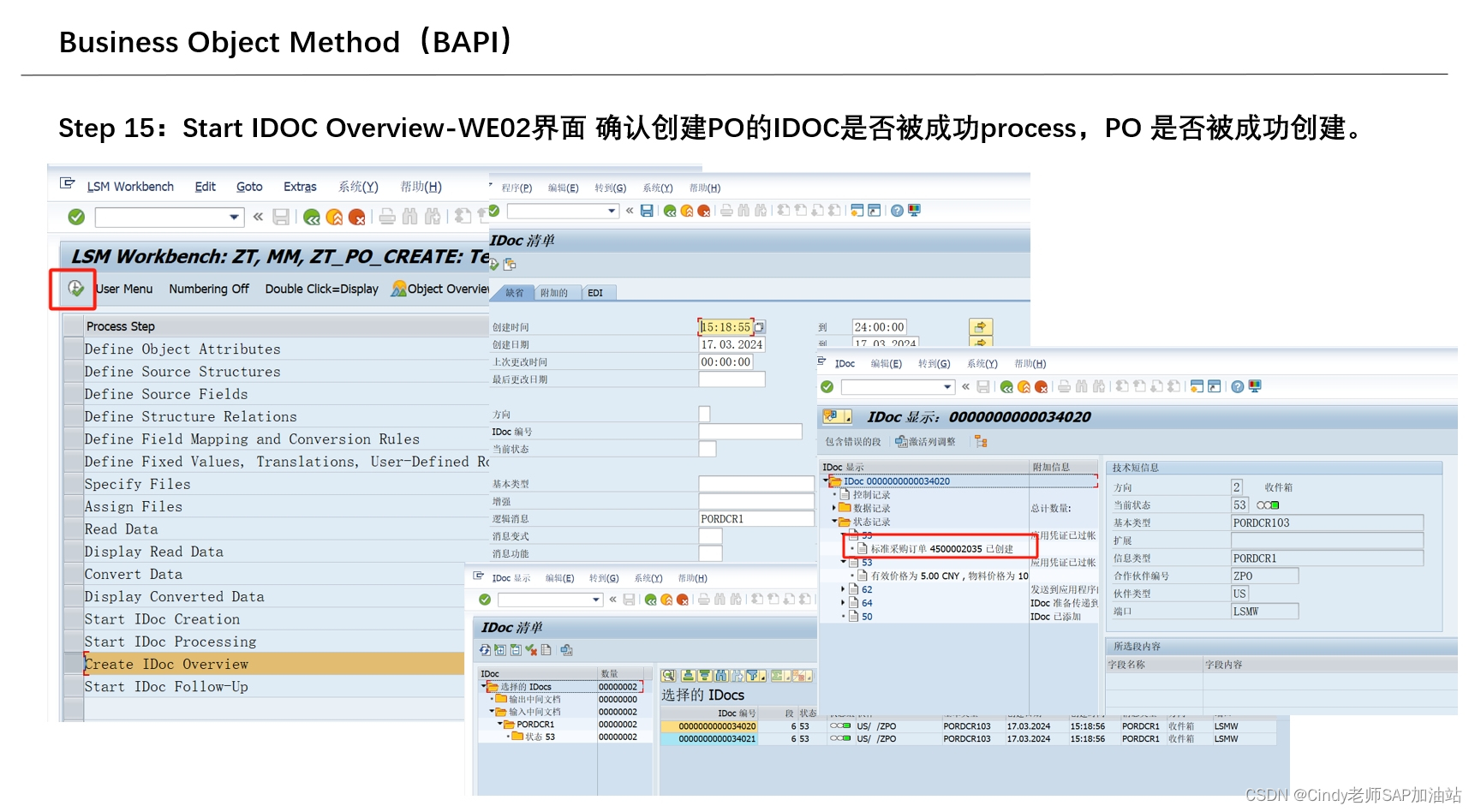 SAP LSMW 功能展示三-BusinessObjectMethodBAPI_sap lsmw function-CSDN博客