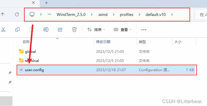 WindTerm 如何关闭主密码弹窗？_windterm 主密码-CSDN博客
