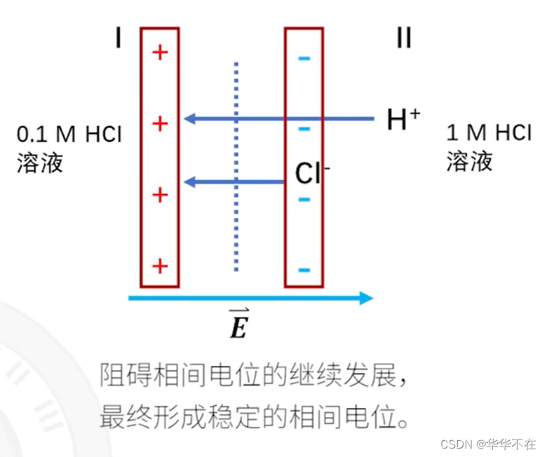 电化学基础(03)——电极电位_相界面两侧的内电位之差-CSDN博客