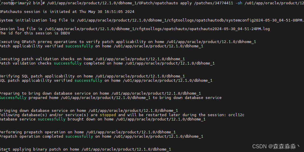 OPARCHAUTO-72050报错最简单处理办法_opatchauto-72050: system instance creation failed.-CSDN博客