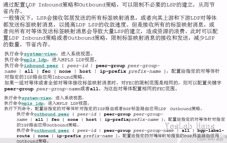 3.3 LDP策略-CSDN博客