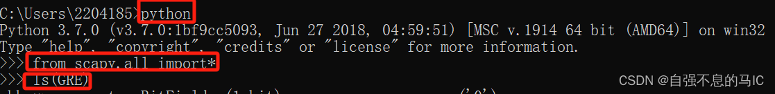 用python的scapy库构造报文用python的scapy构造的一个报文 Csdn博客