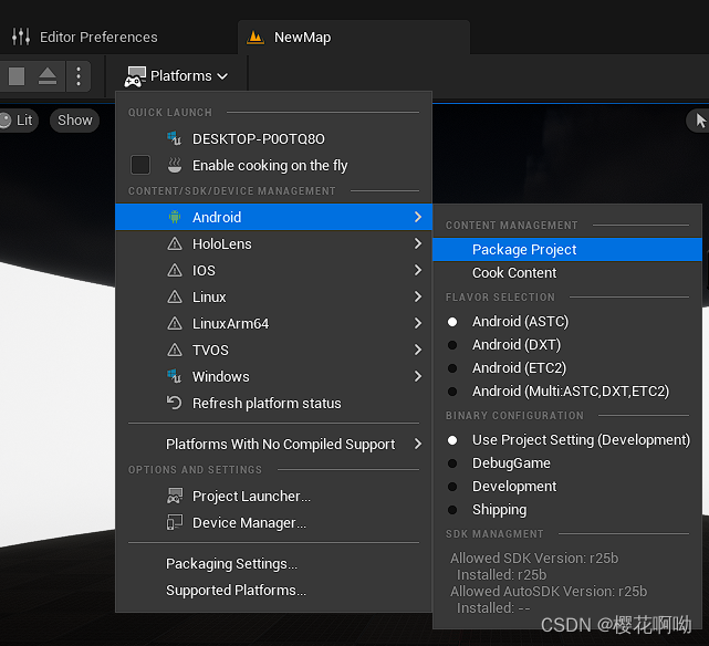 UE5 PICO打包配置_ue pico打包-CSDN博客