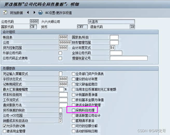 SAP-MM-发票校验基本功能详解_sap发票校验-CSDN博客